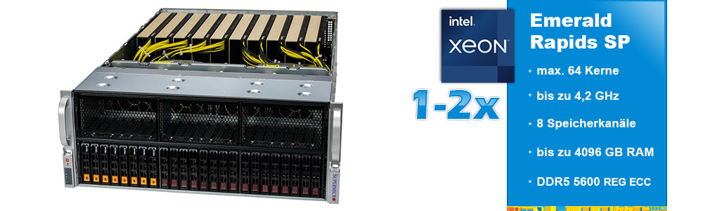 GPU / MIC Server | DELTA Computer Products GmbH